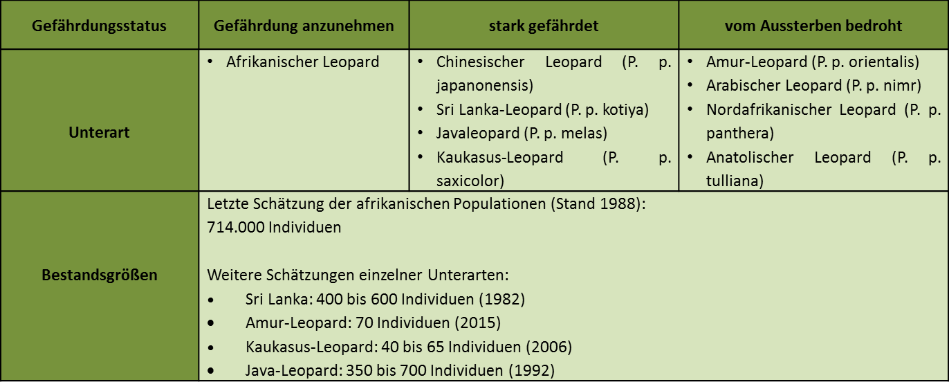 Leopard – AWARE Germany e.V.